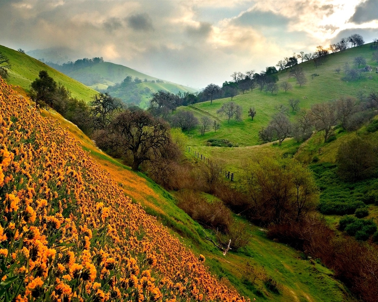 orange landscape01 | Fito