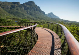 27 Meraviglie autunnali | Fito