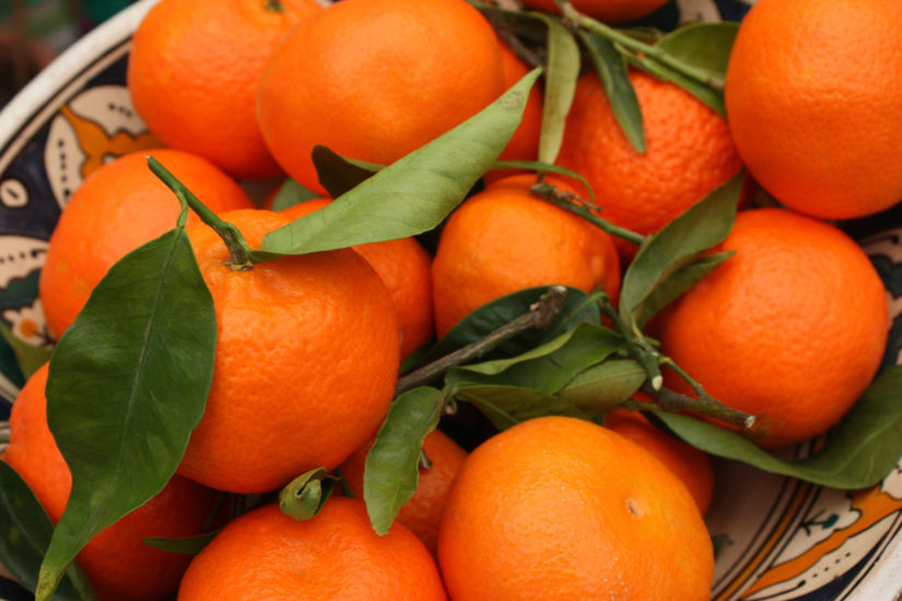 Mandarinetto: la ricetta del liquore al mandarino | Fito