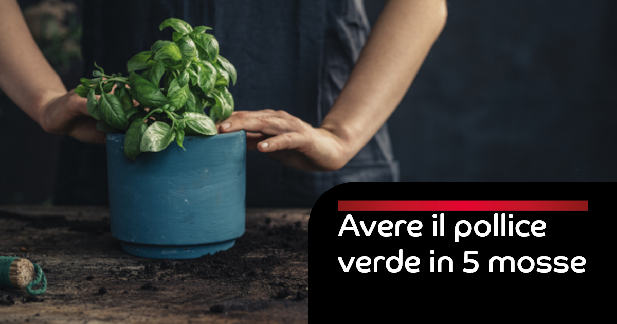 Come avere il pollice verde? 5 consigli per ottenerlo | Fito
