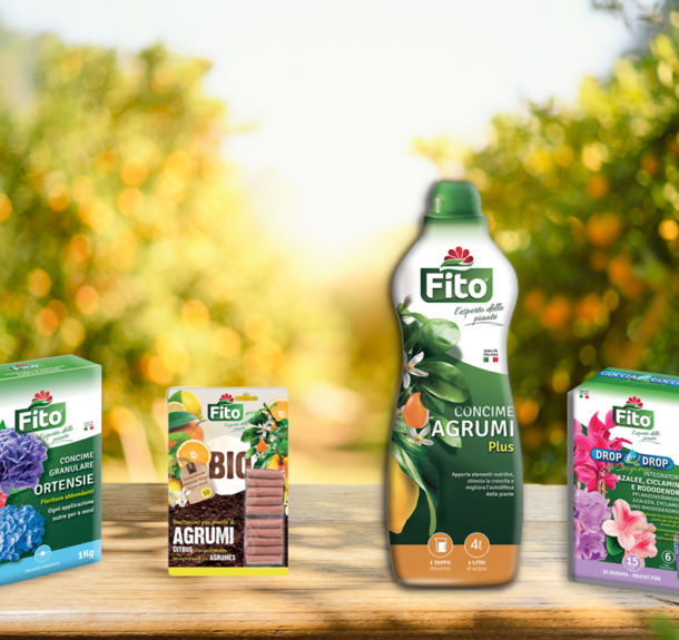 The Green Revolution Blog | Fito
