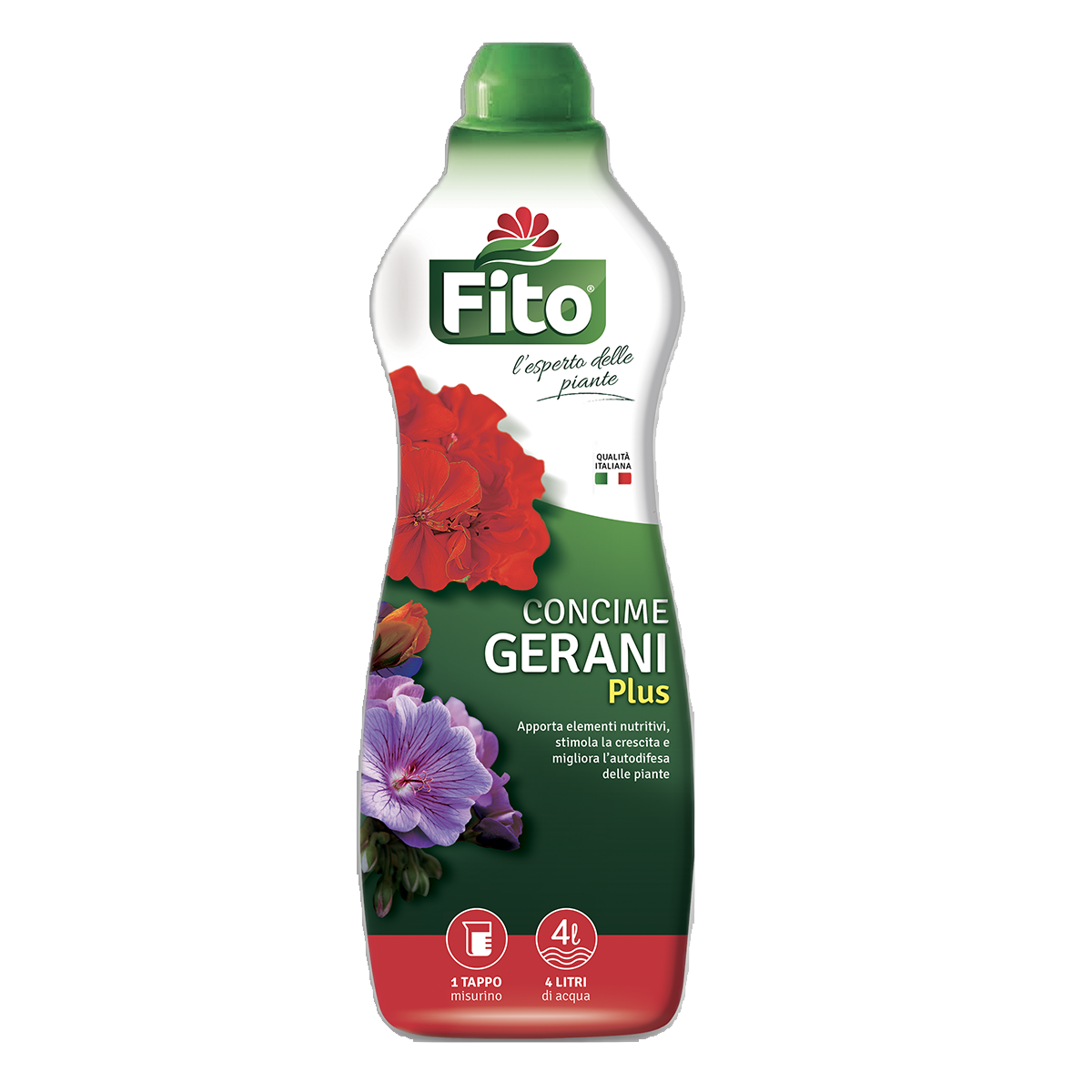 Come coltivare i gerani: come avere terrazzi fioriti | Fito